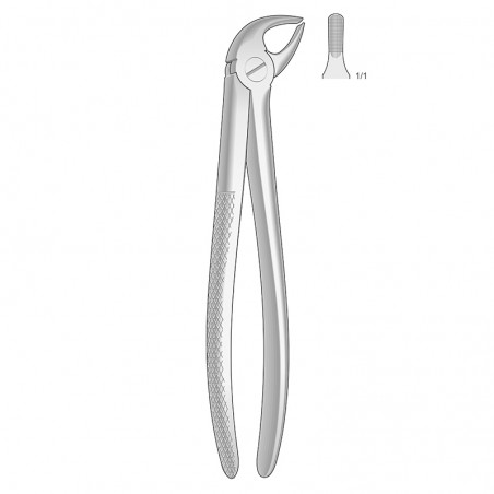 Forceps incisivos y caninos inferiores